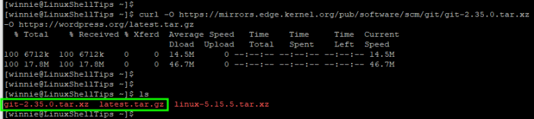 How to Download Files with Curl Command in Linux