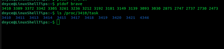Differences Between PID, TID and PPID in Linux