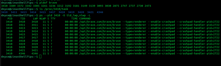 Differences Between PID, TID and PPID in Linux
