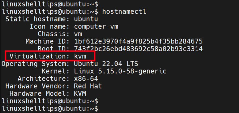 4 Useful Commands to Find Virtualization Type in Linux