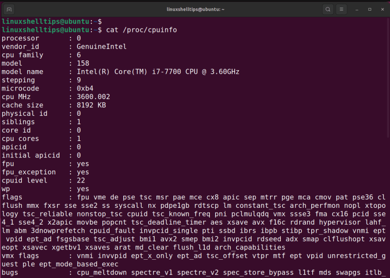 Understand The Most Common Flags of /proc/cpuinfo File
